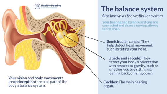 Vestibular, what - what?? | Joe's Kids